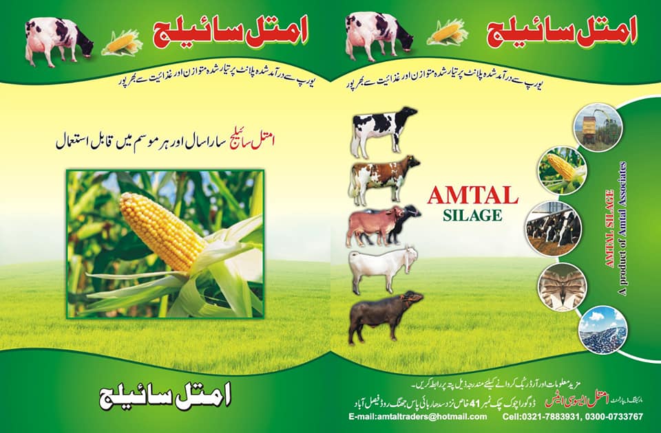 Brochures - Amtal Assocaites